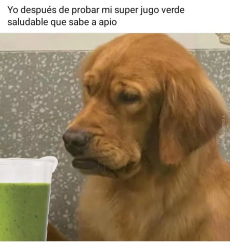 Memes De Vida Saludable