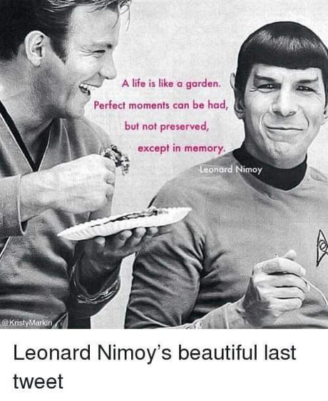 Lustige Spock Memes