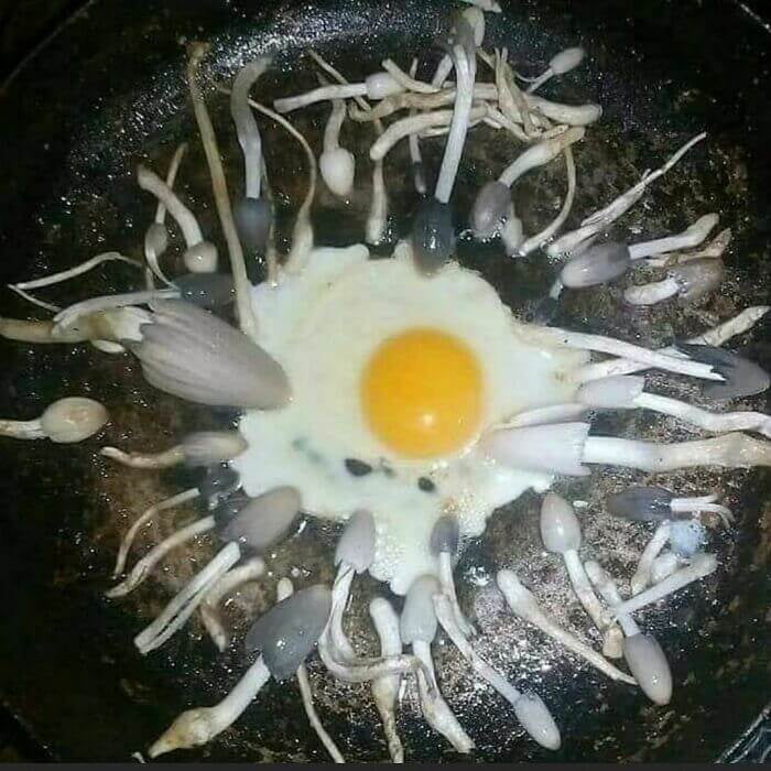 I am not allowed in the kitchen anymore - 9GAG