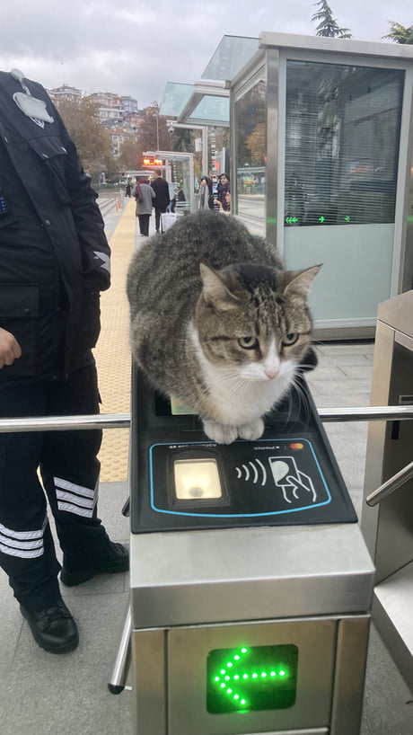 Best Funny istanbul Memes - 9GAG