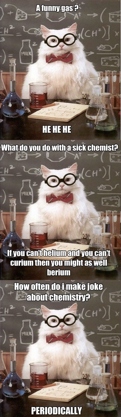 Gold old chemistry cat meme - 9GAG