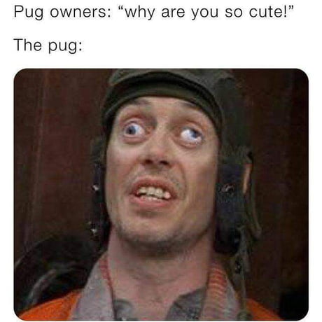 Steve Buscemi Cross Eyes