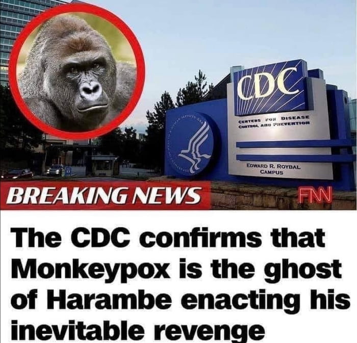 Harambe - 9GAG