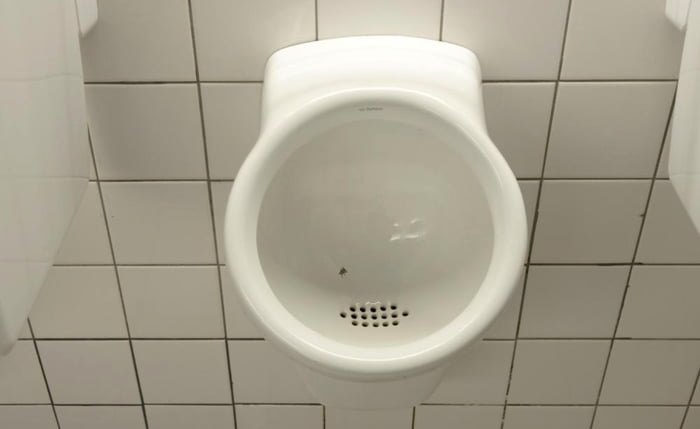 The picture of a fly in public urinals reduces urinal spillage by 80% ...