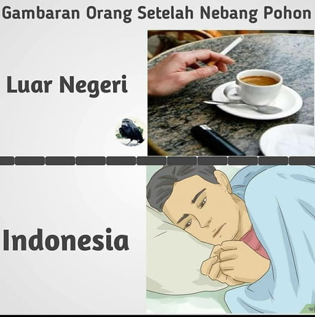 Berita kontol II - 9GAG