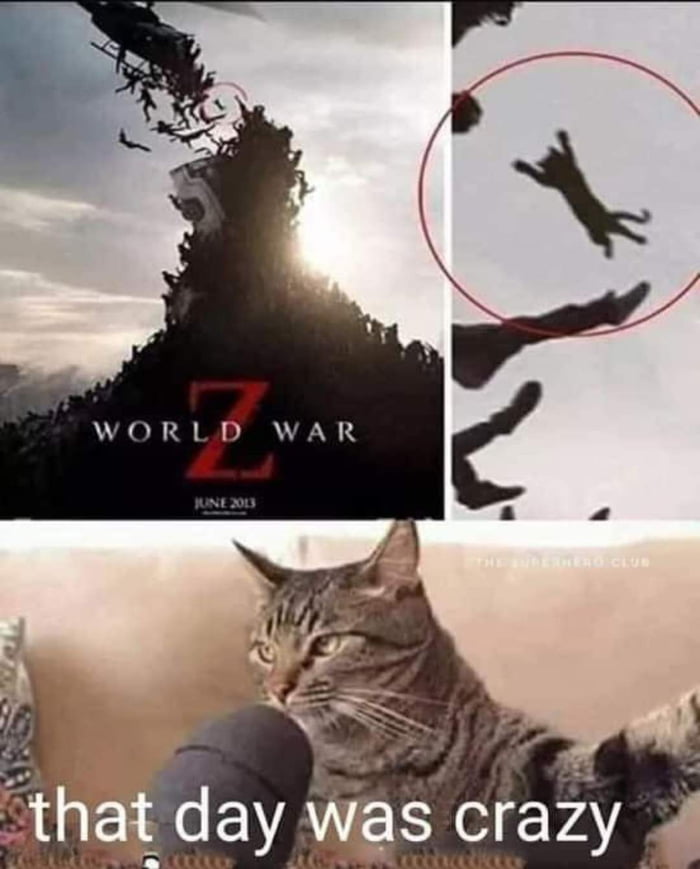 World war cat - 9GAG