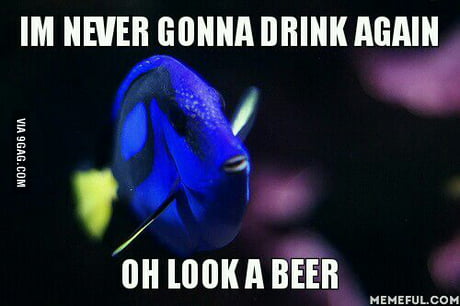 Dory Fish Drinking Memes Finding Dory Review | Movie Empire