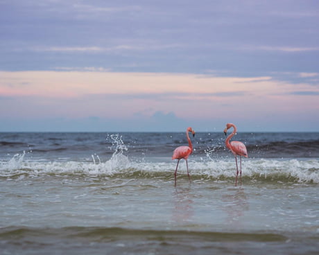 Best Funny florida panhandle Memes - 9GAG