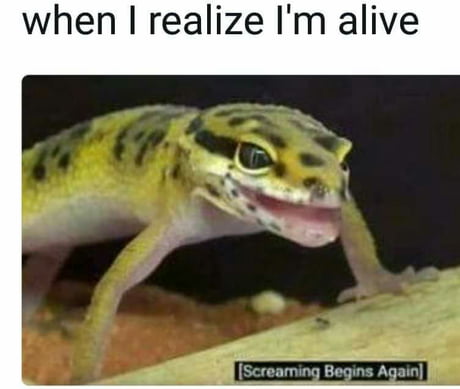 Crippling Memes