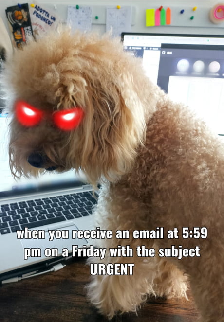 Best Funny Email Memes - 9GAG