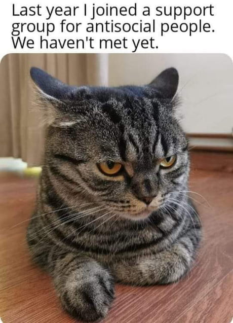 Best Funny group Memes - 9GAG