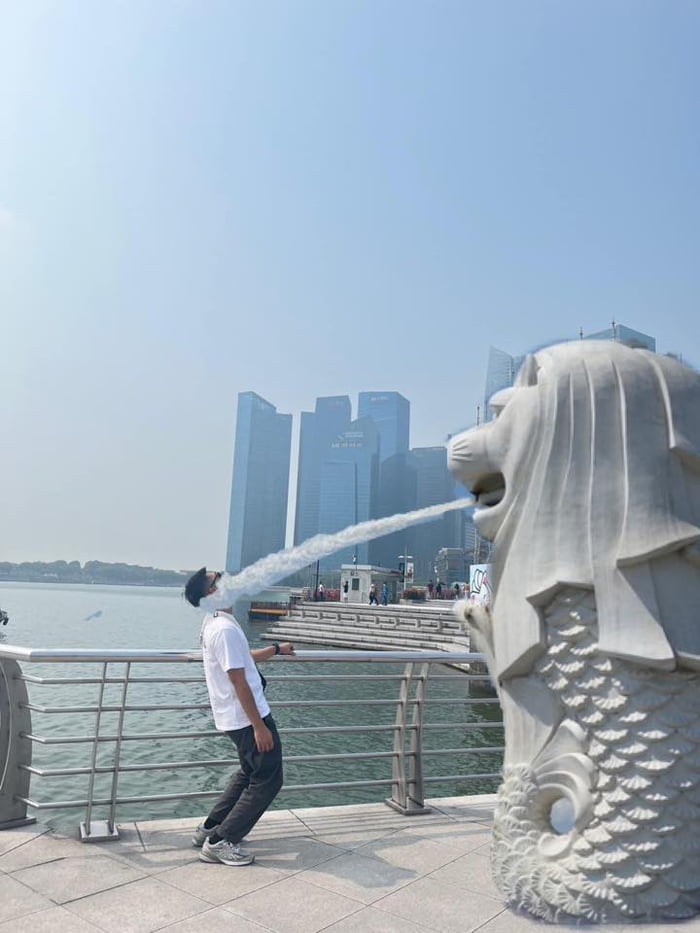 Tourist Asks The Internet For Help To Photoshop Photos As Merlion Is ...