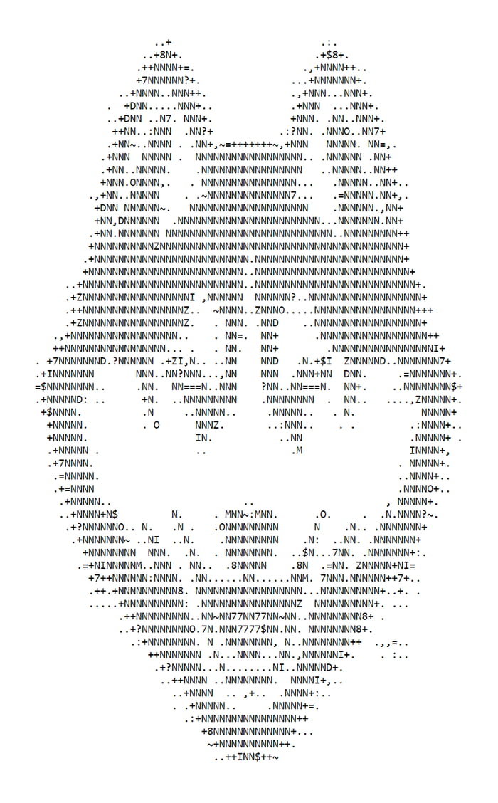 It's not an ordinary dog, it's a hascii - 9GAG