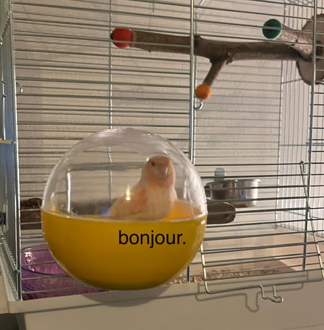 Best Funny derp Memes - 9GAG