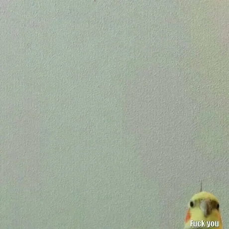 Best Funny pro plus Memes - 9GAG