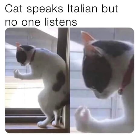 Funny Italian Memes