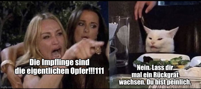 Die neue Masche: „Wir sind ja die Opfer“ - peinlich! - 9GAG
