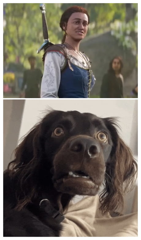 Best Funny fable Memes - 9GAG