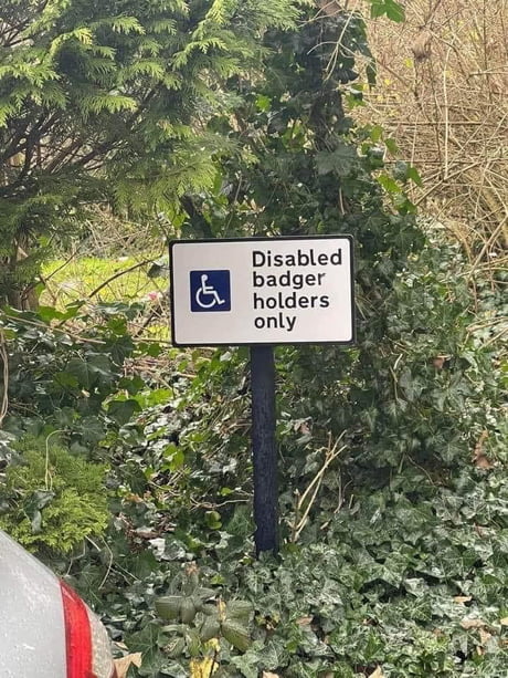 Best Funny disabled Memes - 9GAG
