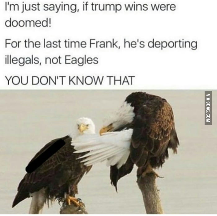 Even bald eagles are scared. - 9GAG