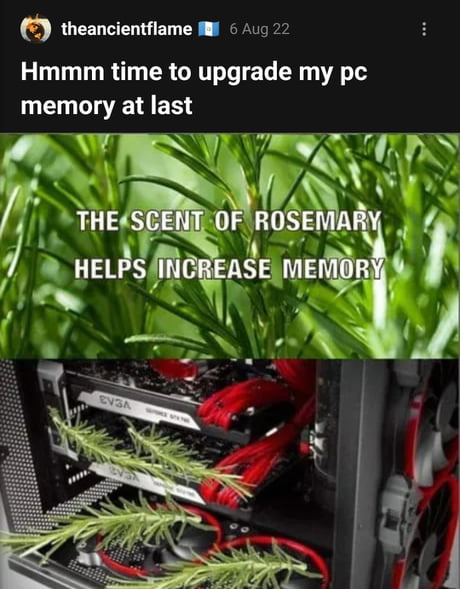 Best Funny ram Memes - 9GAG