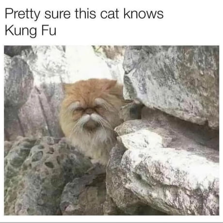 Best Funny kung fu Memes - 9GAG
