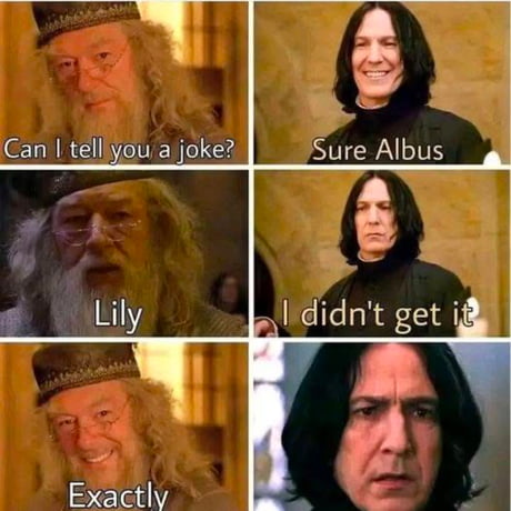 Funny Dumbledore Memes Harry Potter Memes And Stuff Dumbledore