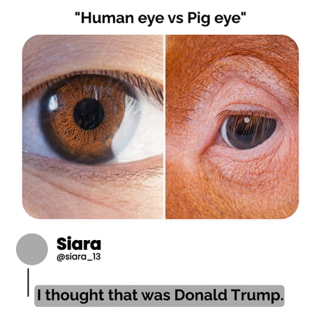 9GAG Memes