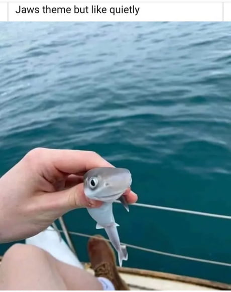 Best Funny jaws Memes - 9GAG