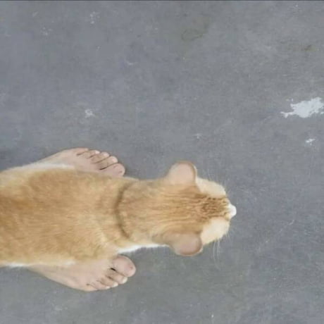 Best Funny feet Memes - 9GAG