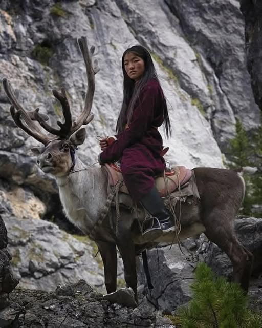The last reindeer rider - 9GAG