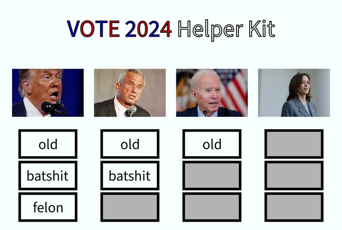 Vote 2024 Helper Matrix - 9GAG