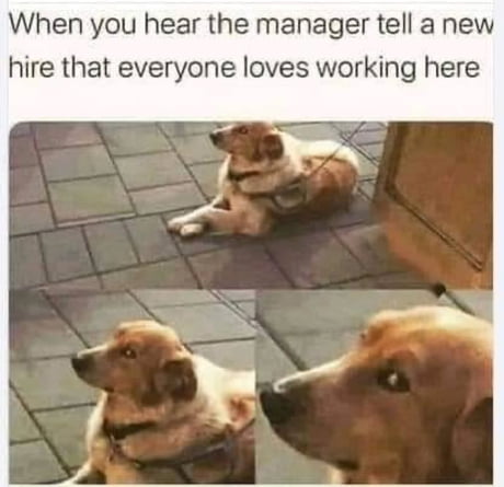 Funny Assistant Manager Memes