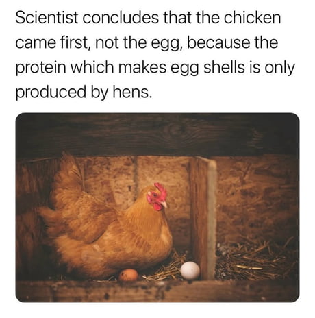 Best Funny hen Memes - 9GAG