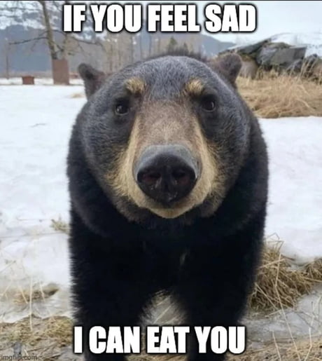 Fruity Beer Memes Funny Fresh Beer In Wooden Glass Vector Illustration