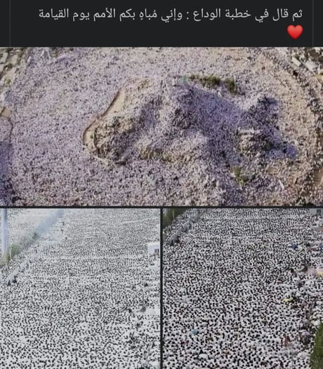 Alik Medusala - 9GAG