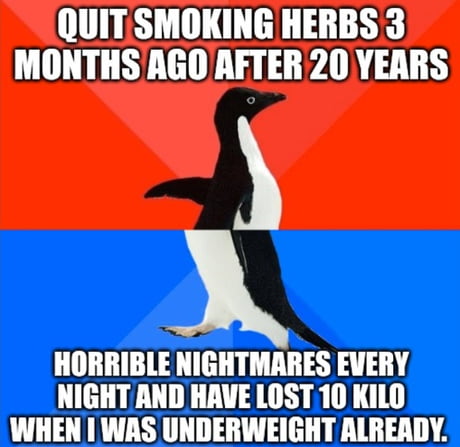 Funny Awkward Penguin Memes Socially Awkward Penguin Memes And Images