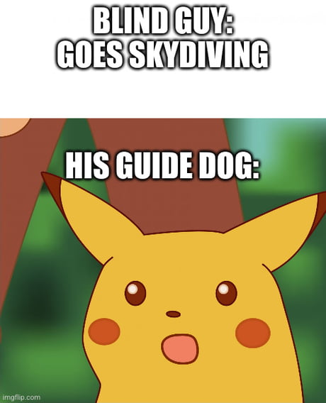 Ifunny Hond Meme Top 28 Funny Animal Memes Clean Enough For Kids