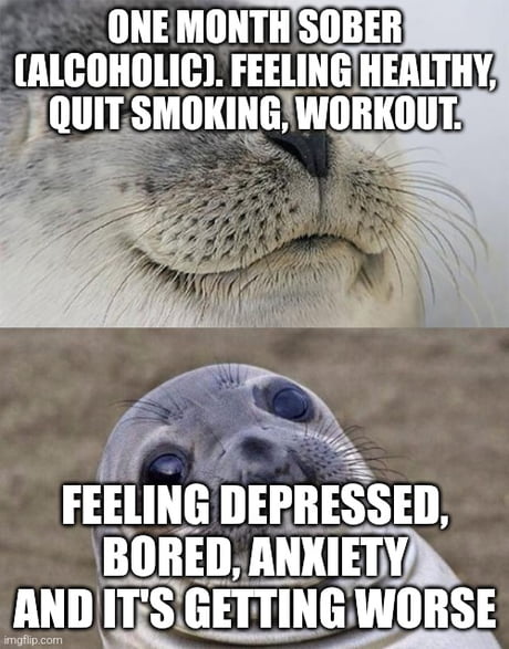 Funny Addict Memes 30 Memes For The Stationery Addict | The Funny