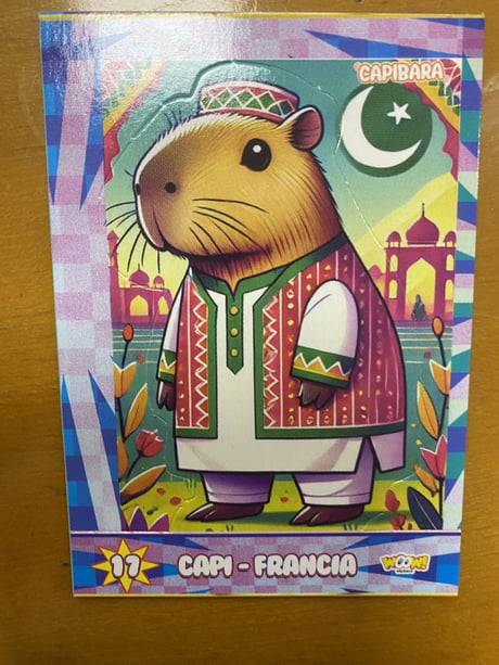 Best Funny capybara Memes - 9GAG