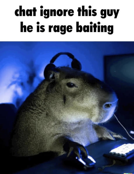 Best Funny ragebaiting Memes - 9GAG