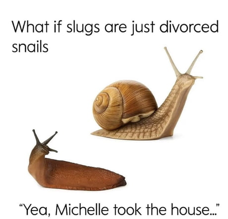 Best Funny snail Memes - 9GAG