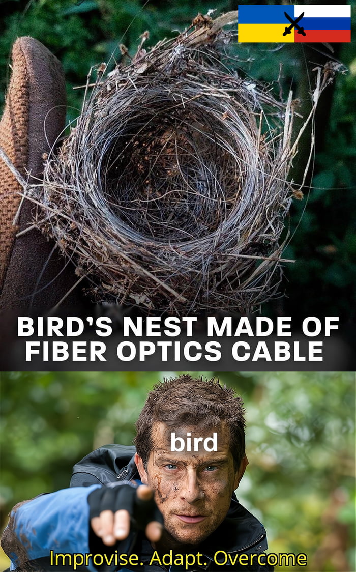 Both sad and fascinating. - 9GAG