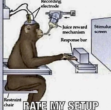 Best Funny rate my setup Memes - 9GAG