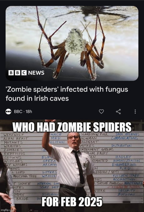 Best Funny spider Memes - 9GAG