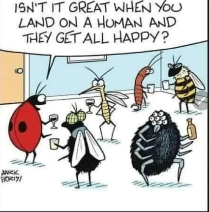 Best Funny good luck Memes - 9GAG