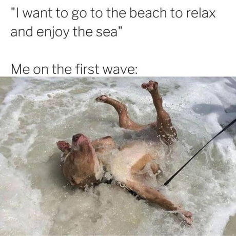 Best Funny beach Memes - 9GAG