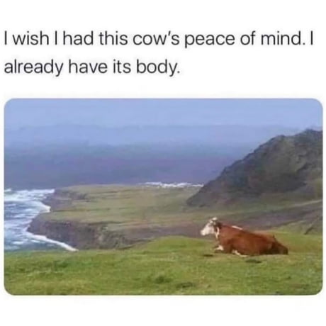 Best Funny peace Memes - 9GAG