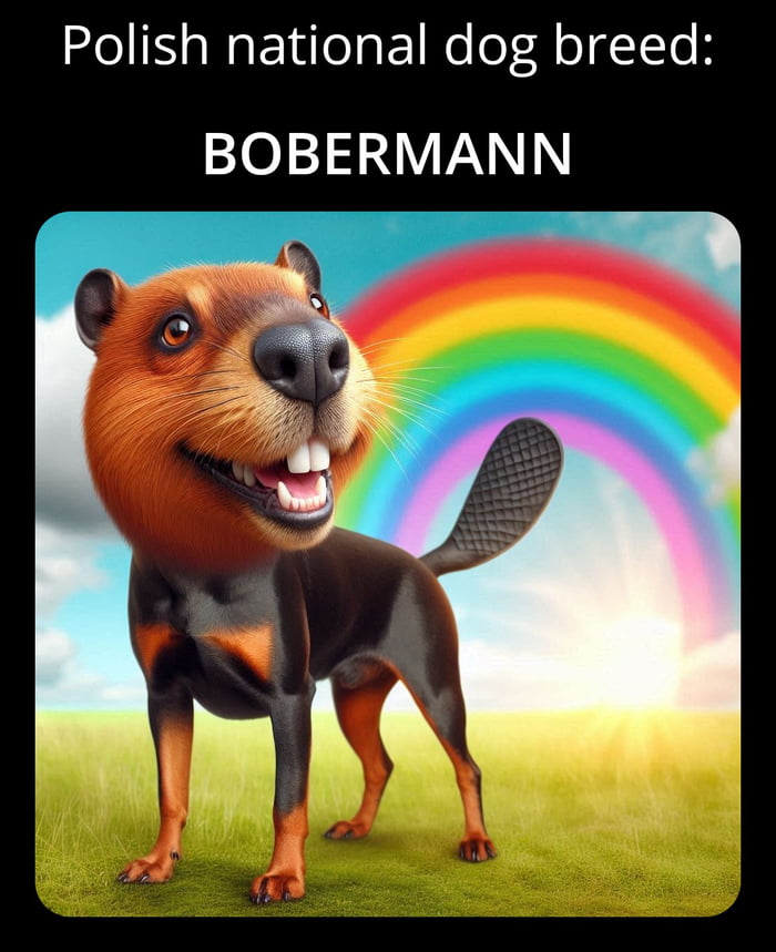 Bobermann - 9GAG