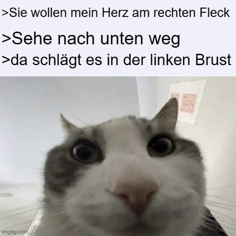 Funny Germany 🇩🇪 Memes - 9GAG
